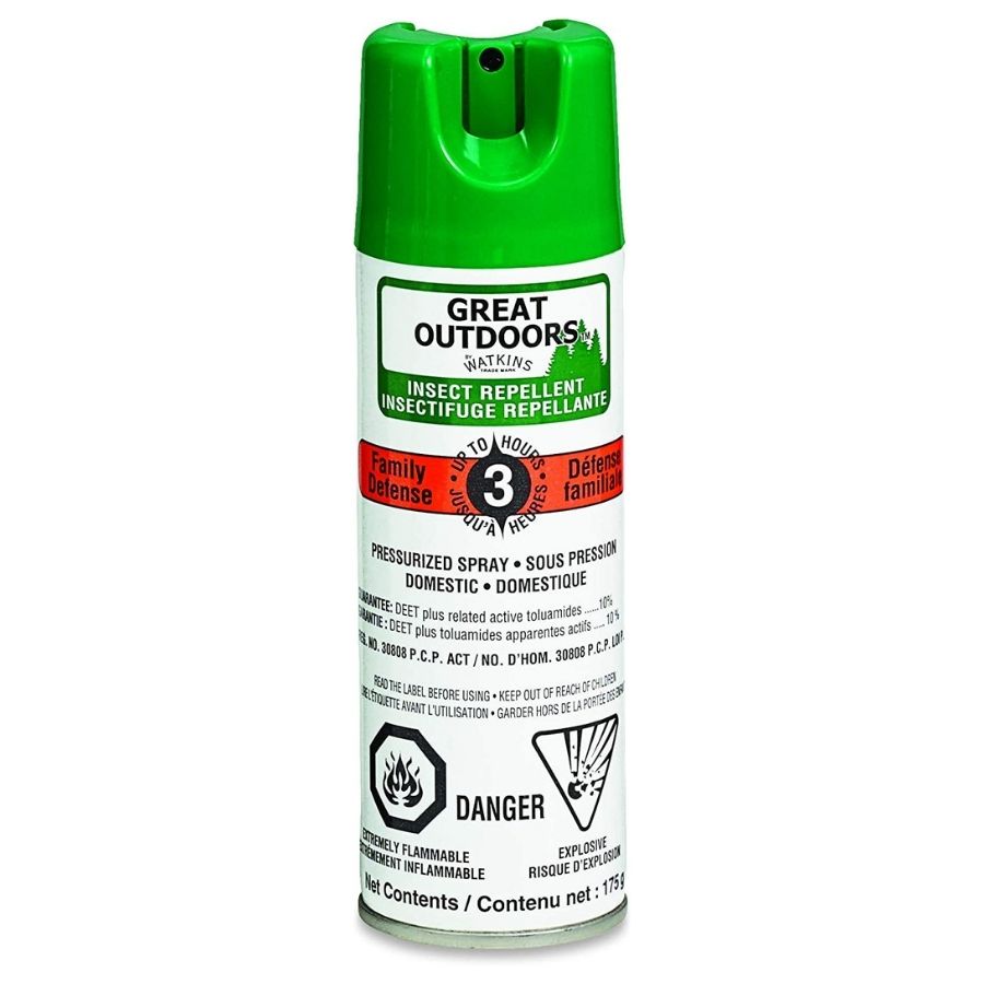 Great Outdoors Insect Repellent Spray - 175 G Aerosol 10% Deet - Family ...